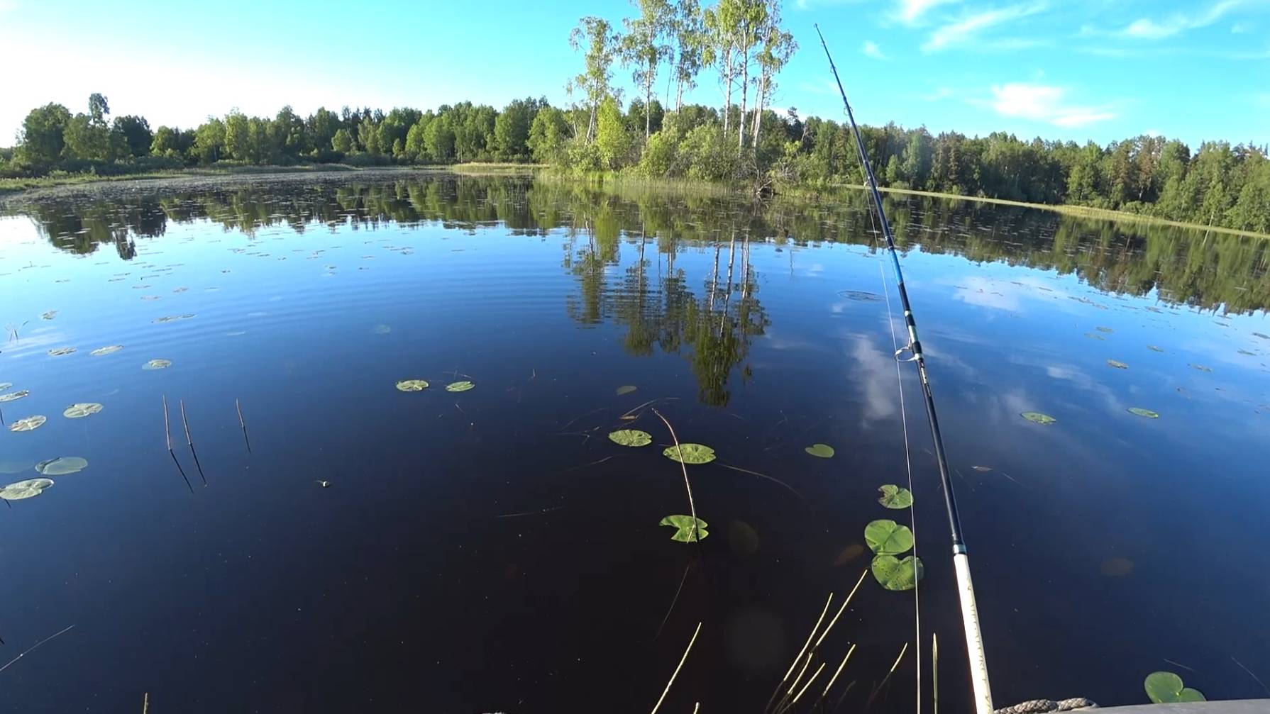 Щука на кружки и жерлицы. #2