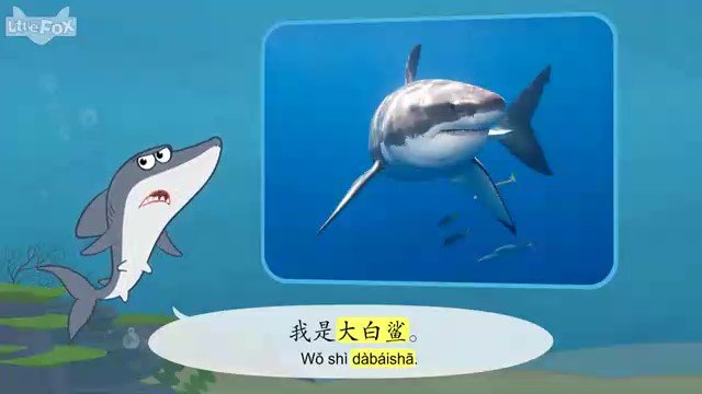 КИТАЙСКИЙ (Большая Белая Акула - 大白鲨) A1-8