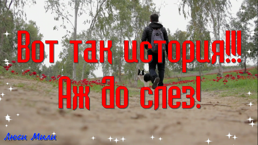 Вот так история!!! Аж до слез! Истории из жизни.