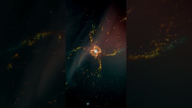 Есть над чем задуматься #shorts