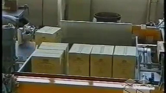 Паллетайзер слоевой Autopal-(288p25).mp4