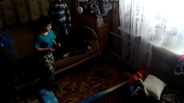 Попугай преследует (the parrot is chasing)