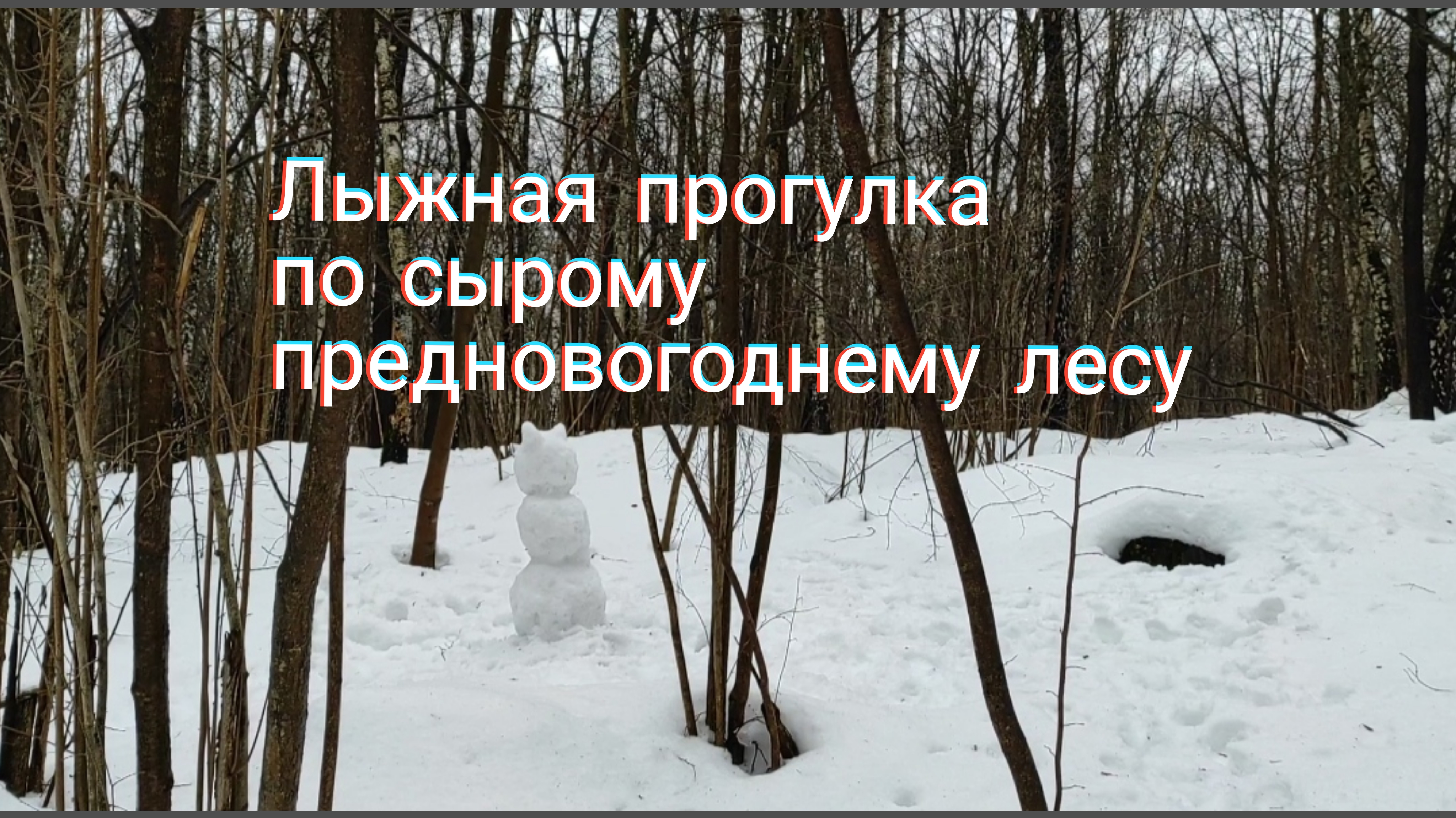 лыжная прогулка по сырому предновогоднему лесу. 30.12.2023