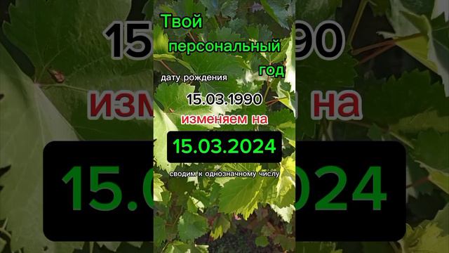 Твой персональный год
