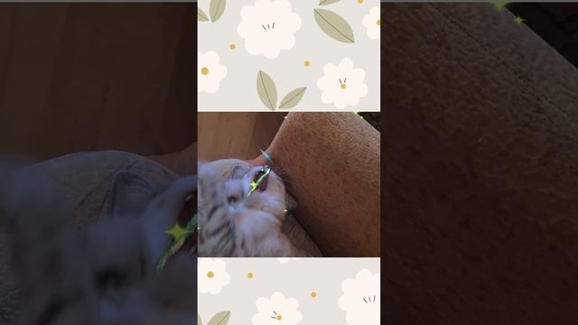 Славная была охота.