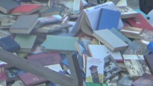 Art Manij ЛЮДИ НЕ КОПИТЕ ⛔КНИГИ ⛔ДОМА