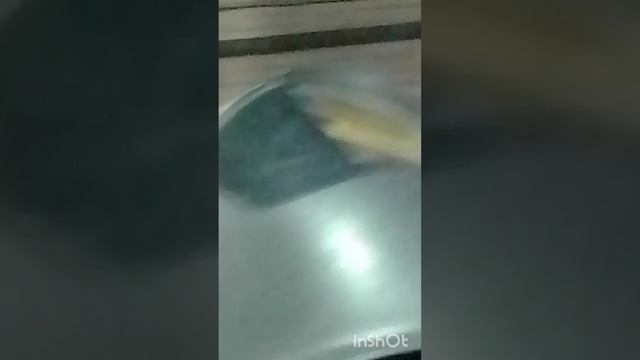 ?❤️? Добрые дела.
Выгоняли его уже на улицу , он не хочет улетать.