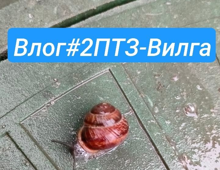 Влог#2.ПТЗ-Вилга.