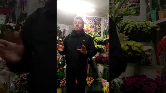 ¦Мои стихи¦ Вова Куценко(писатель)