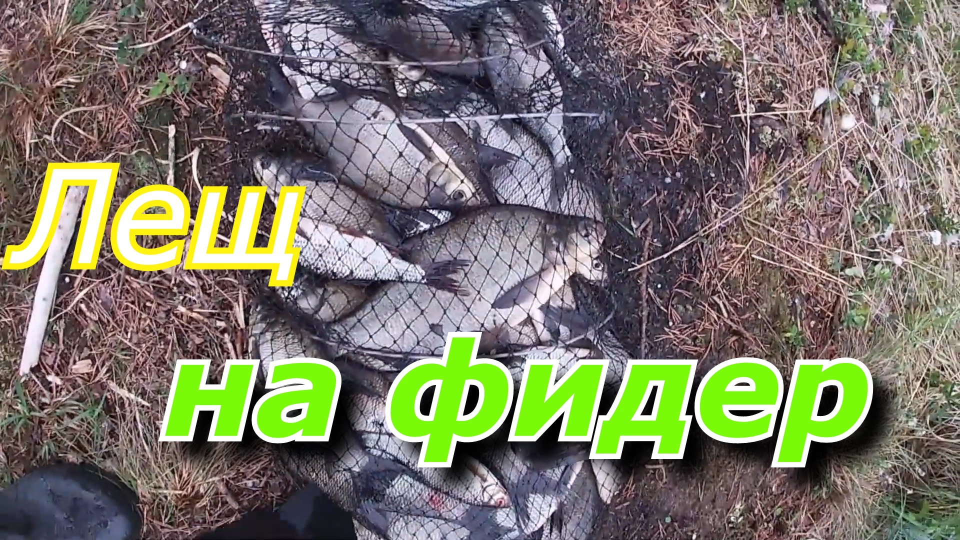 Ловля леща на фидер на лесном озере!!!