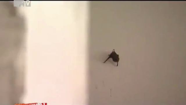 Каникулы в Мексике. 1 сезон 12 серия
