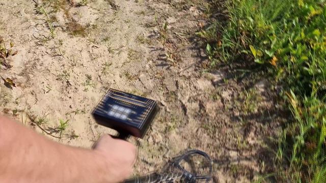 Металлоискатель FOMTECT Promaster-M2 поиск летом у реки