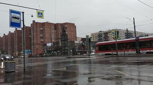 Проспекты Просвещения и Художников. Санкт-Петербург