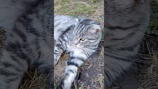 смешно🤣🤣 2 часть