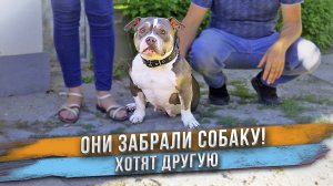 Люди забрали нашу собаку! Им этого мало.
