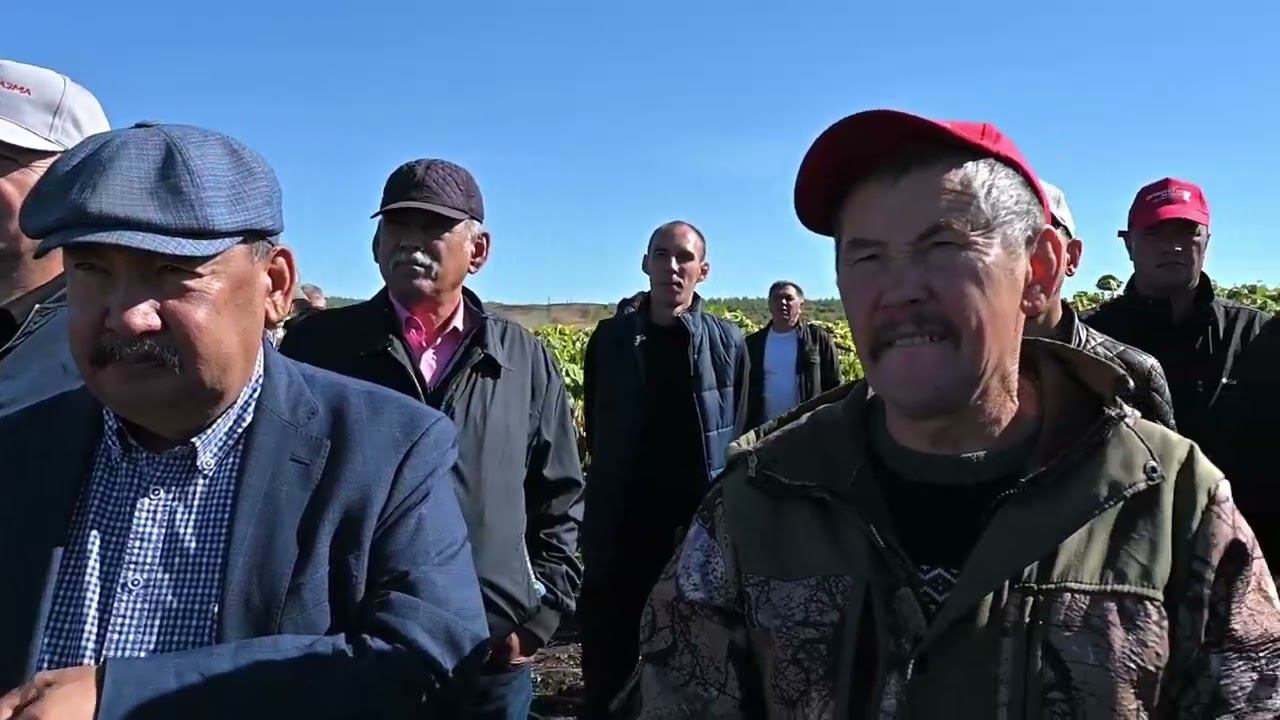 2.  День поля  13 09 22г