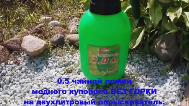 Медный купорос против тины.