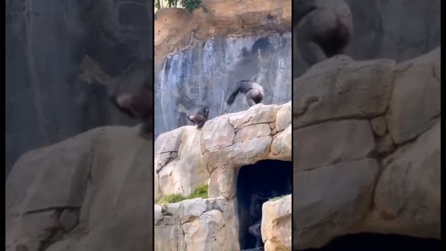 ВЕСЁЛЫЕ КАНИКУЛЫ ???