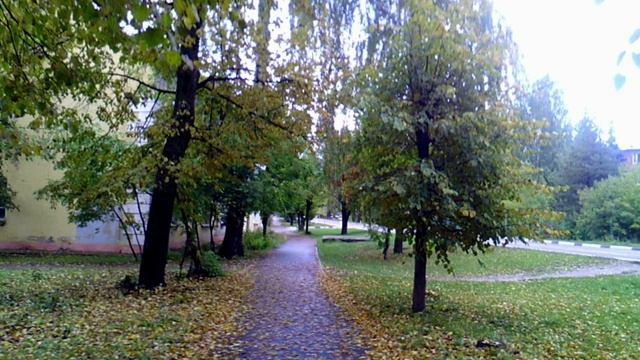 осень  в городе.mp4