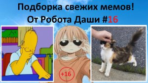 Юмор. Мемы.