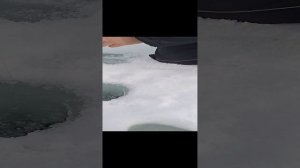 Щука на жерлицы в апреле