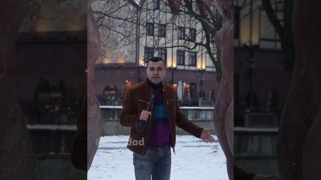 так много почему...