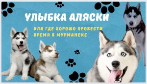 УЛЫБКА АЛЯСКИ. ИЛИ ГДЕ ХОРОШО ПРОВЕСТИ ВРЕМЯ В МУРМАНСКЕ