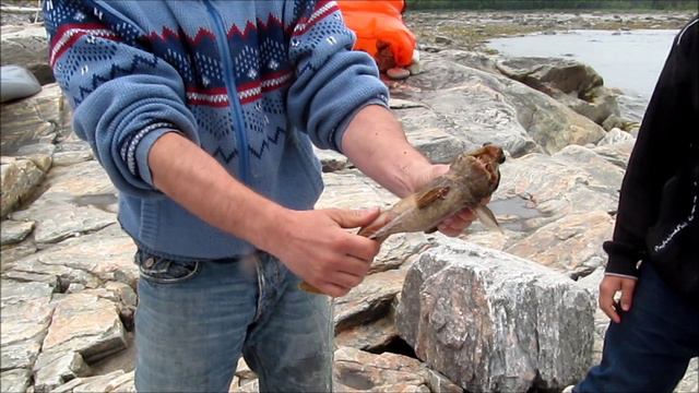 Сплав 2015. Белое море. Рыбалка