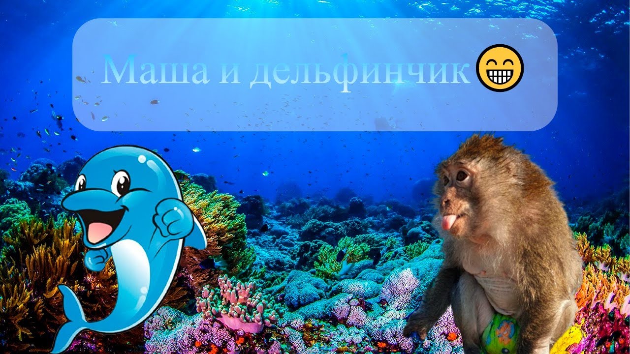 Маша принимает ванну (Домашние макаки)