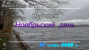 Воронеж. Ноябрьский день, осенняя  зарисовка, 28.11.23 г.