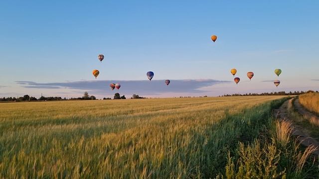 Воздушные шары пролетают над полем