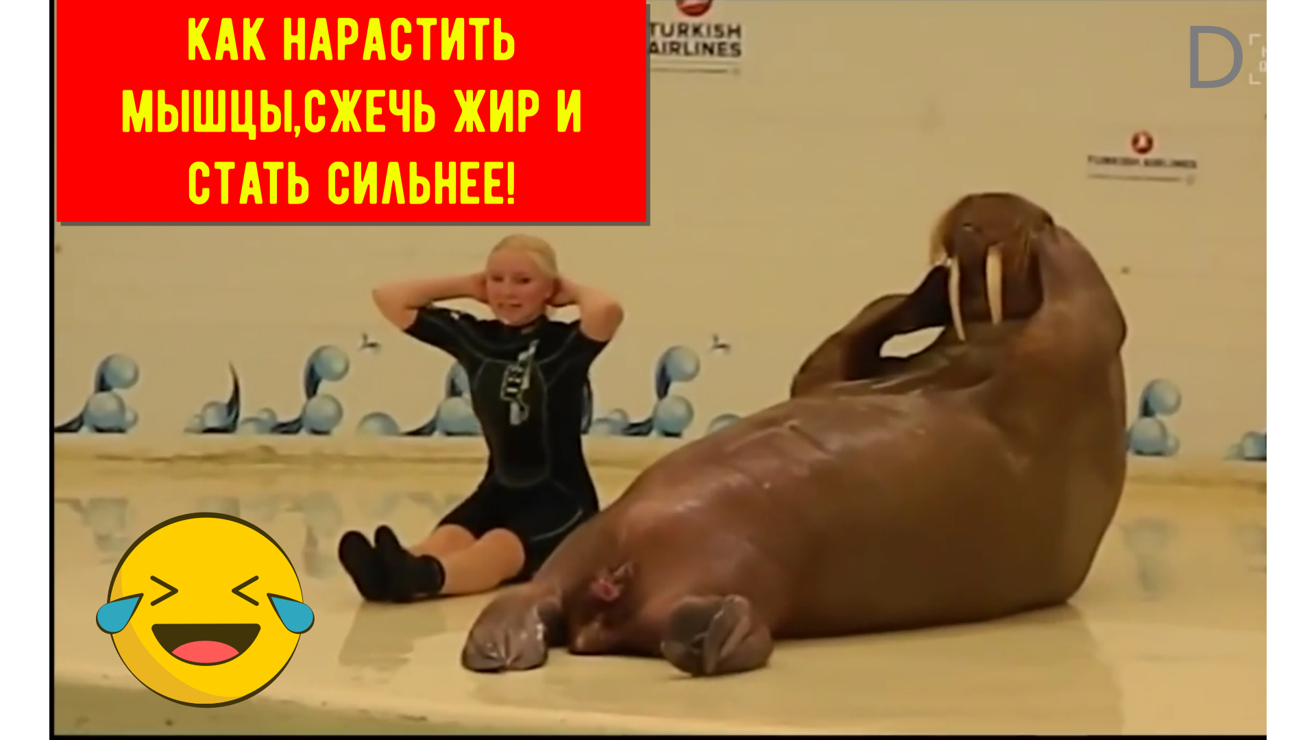 ПРИКОЛЫ С ЖИВОТНЫМИ: Как нарастить мышцы, сжечь жир и стать сильнее