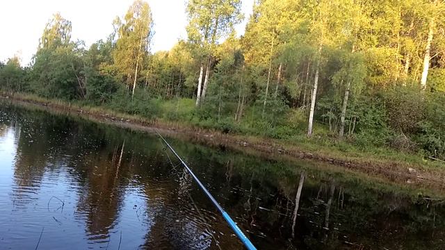 Вот это жор рыбы. 6 забросов 4 рыбы.