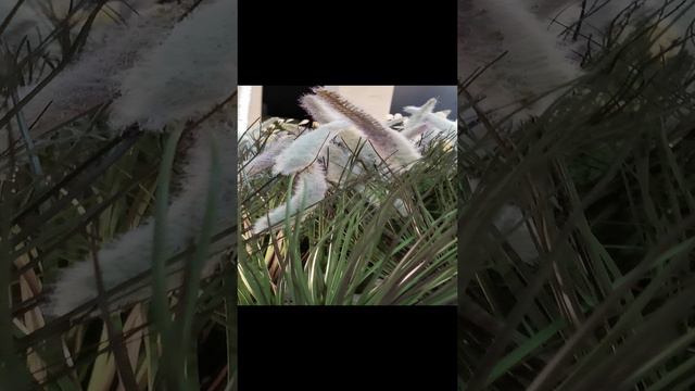 VID_20230524_184818.mp4