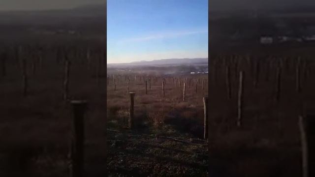 Божоле Нуво по Русски