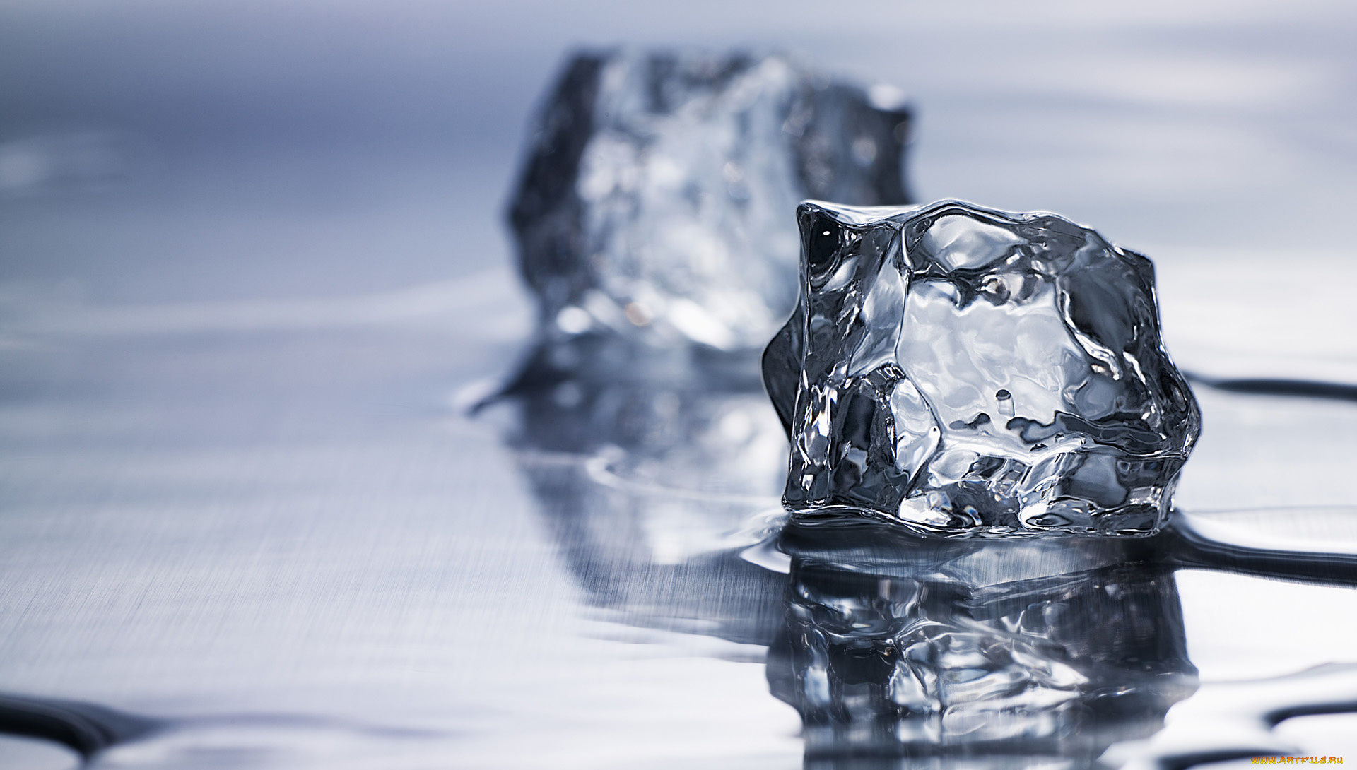 ВИДЕО NSR2887- Таю( кавер Валерия и The Hatters )