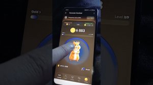 Hamster Kombat Битва хомячков