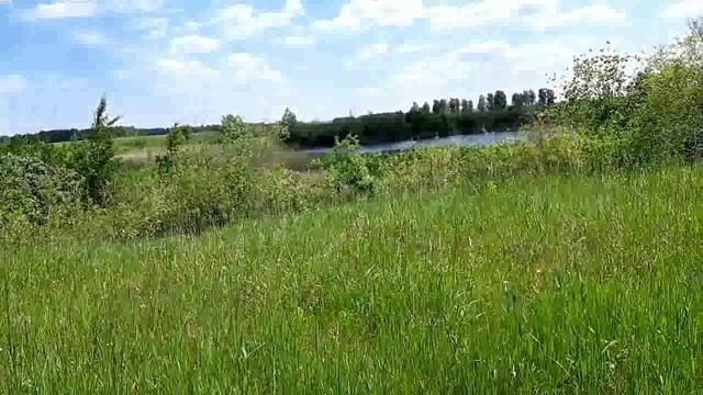 Нашла небольшого озеро..avi