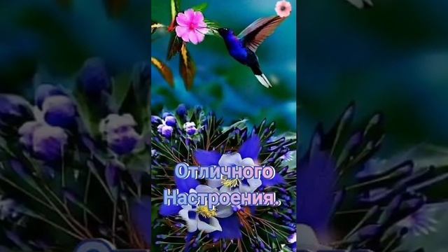 С Днём Рождения! Самое Красивое Поздравление!