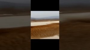 Забота