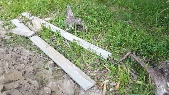 Птенец дрозда клюнул в руку