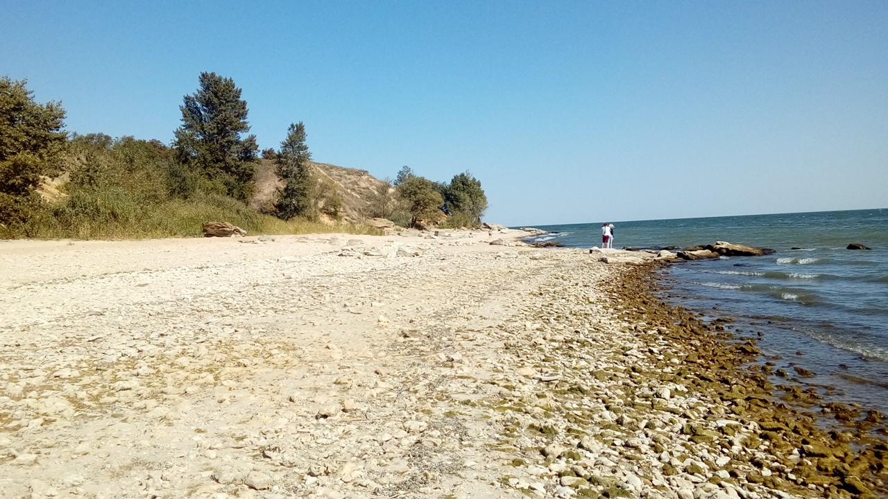 Цимлянское море. Дикий пляж. Сентябрь 2019 г