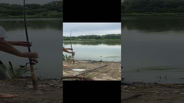 РЫБАЛКА НА ДОНУ НА КАРАСЯ