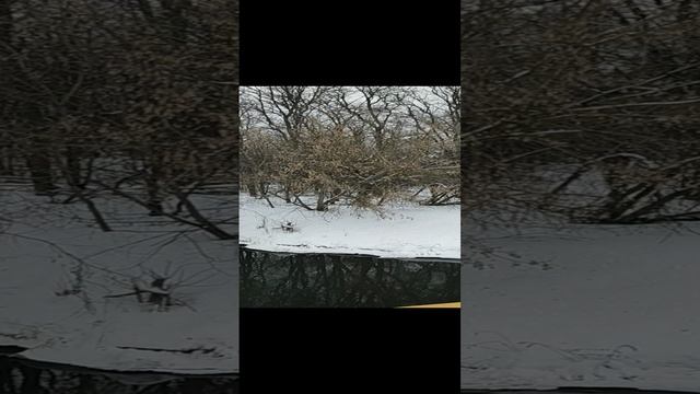 Источник святого Серафима