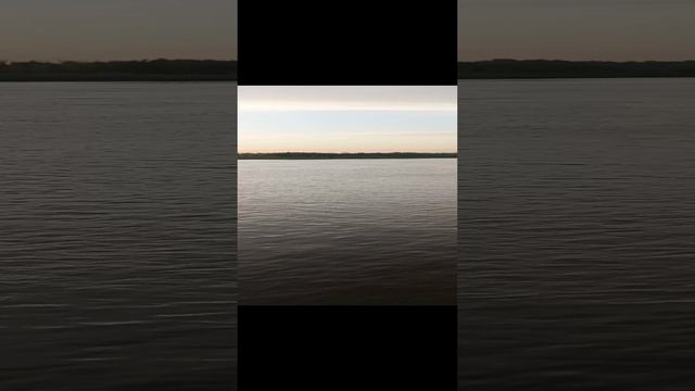 VID_20220605_201759.mp4