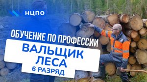 Обучение на ВАЛЬЩИКА ЛЕСА: получить удостоверение вальщика и пройти курсы очно и онлайн