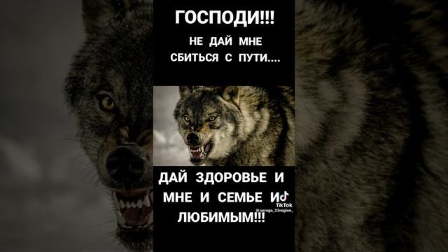 d88e3d8a8727ac326747474ce3e3227f.mp4