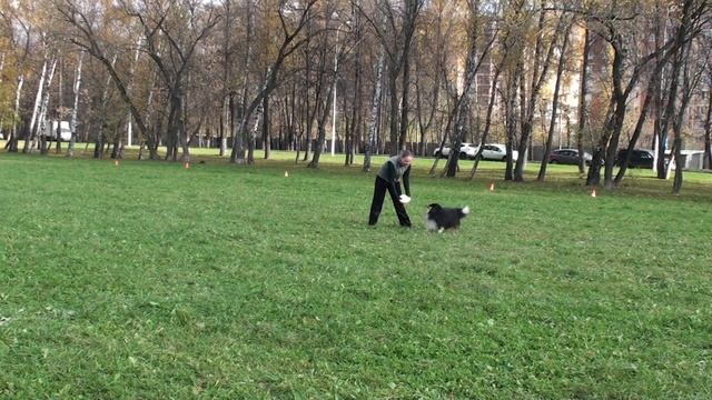 Оксана и Феликс - фризби-фристайл.mp4