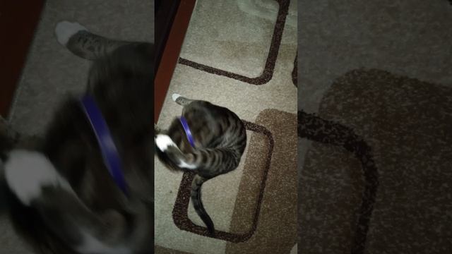 по утрам