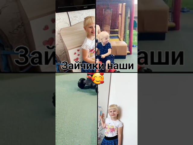 Наши Зайчики